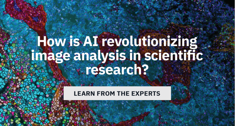 Seminar: How is AI revolutionizing image analysis in scientific ...